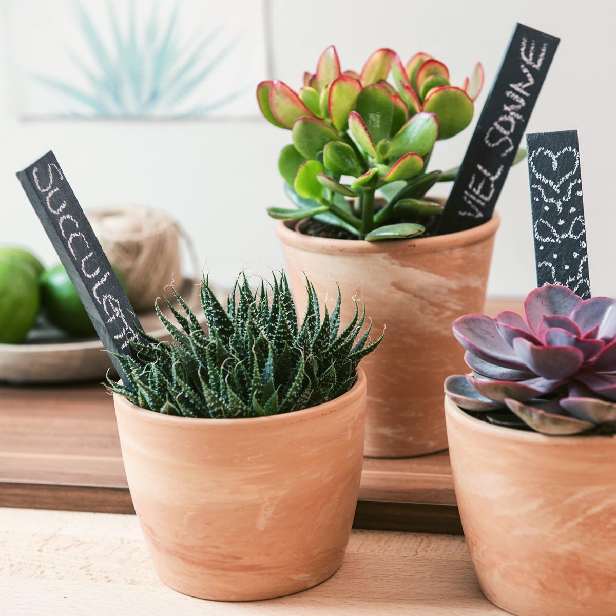 Plant Labels - Green Garden Growers